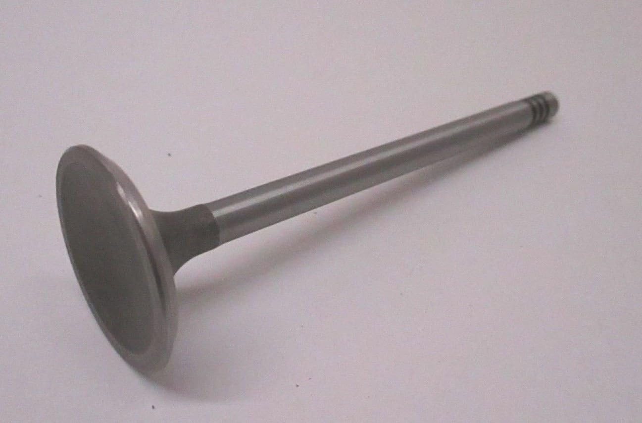 Amazon.com: Genuine Onan 110-3479 Intake Valve For P216 P218 P220 OL16 ...