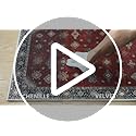 Amazon.com: Persian Medallion Machine-Washable Stain-Resistant Runner ...