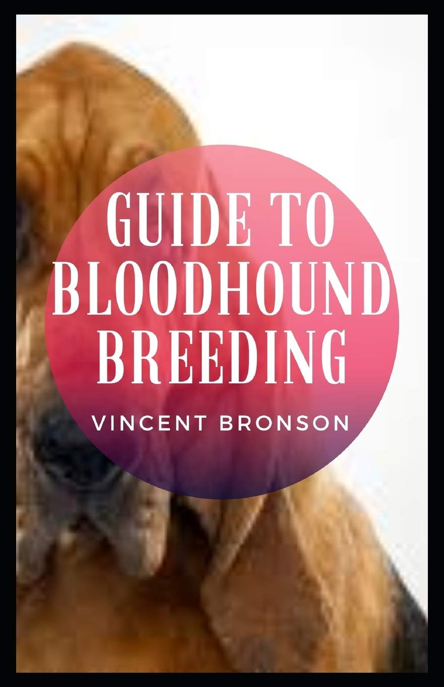 Buy Guide to Bloodhound Breeding: The dog evolved from the gray wolf ...