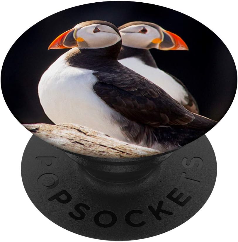Amazon.com: Funny Cute Atlantic Puffins - Birdwatcher Bird Lover Gift ...
