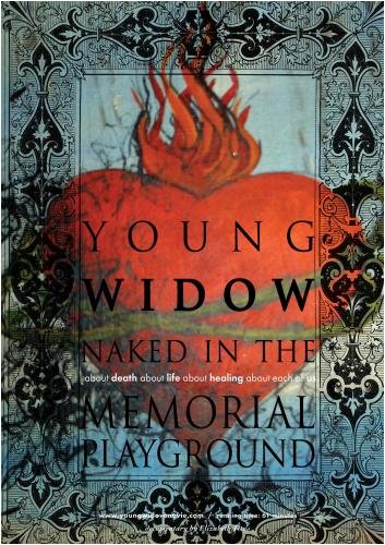 Amazon.com: YOUNG WIDOW, Naked in the Memorial Playground : Elizabeth ...