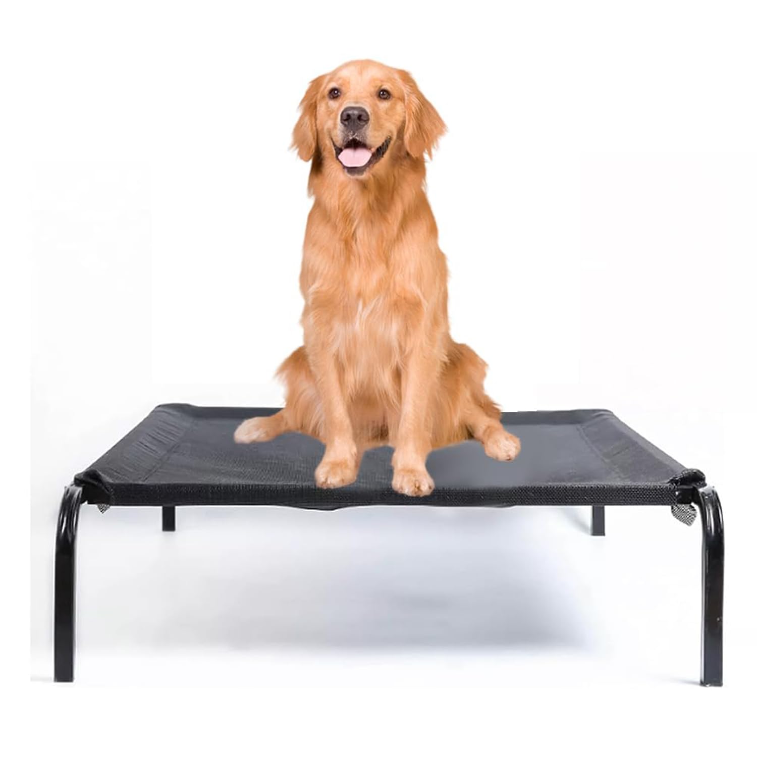 NOVAKA Cama Elevada para Perro, Cama para Perro con Malla Transpirable ...