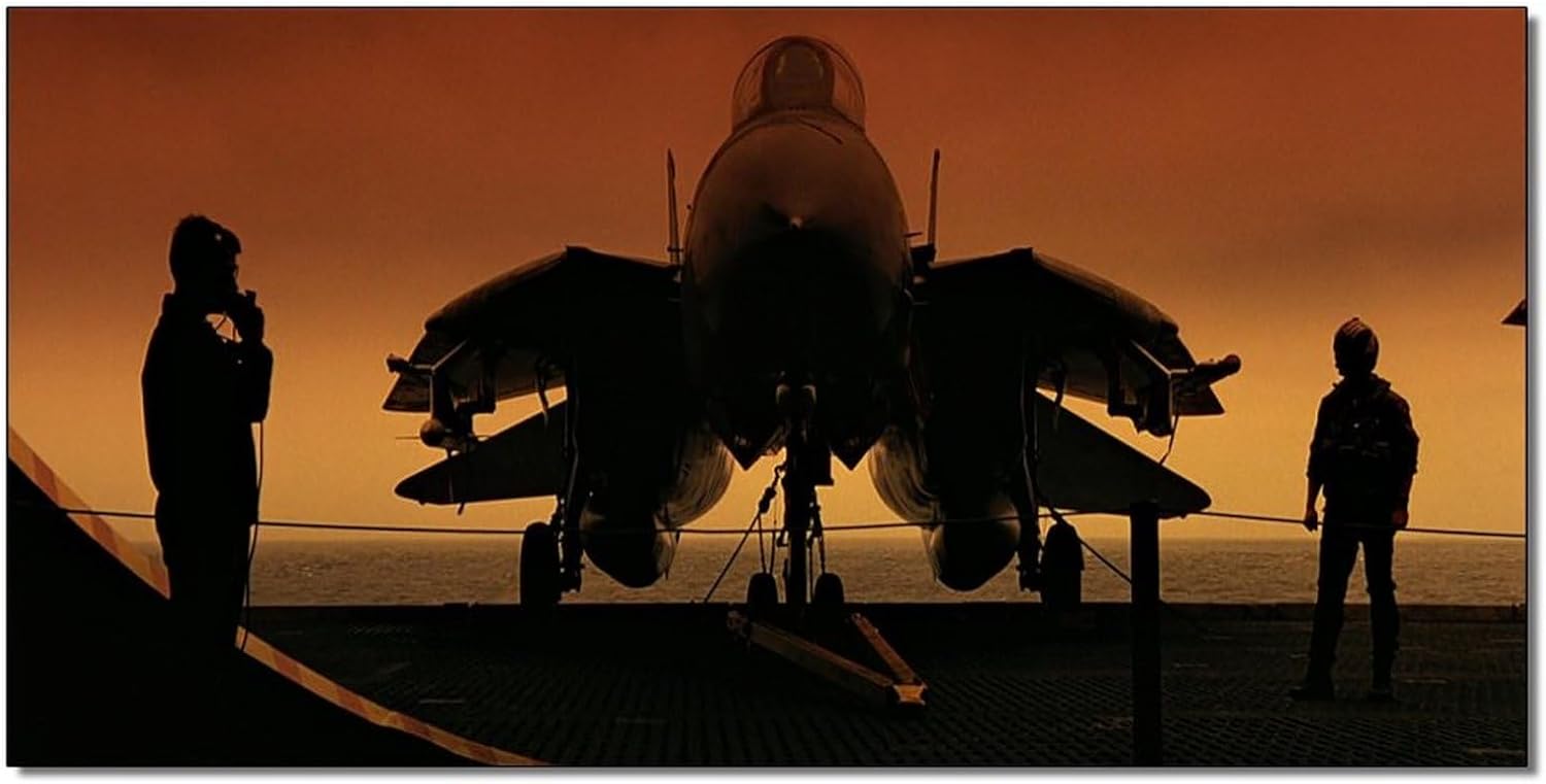 Amazon.com: Grumman F-14 Tomcat Poster Aircraft Military Enthusiast ...