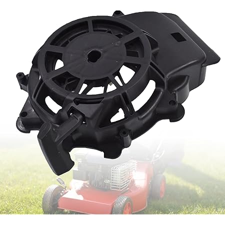 Amazon.com: Briggs & Stratton 597279 Lawn & Garden Equipment Engine ...