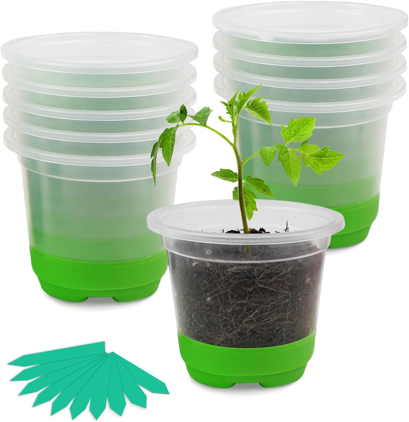 TSKDKIT 10Pcs Clear Plant Pots with Silicone Base, 10cm Round Plastic ...