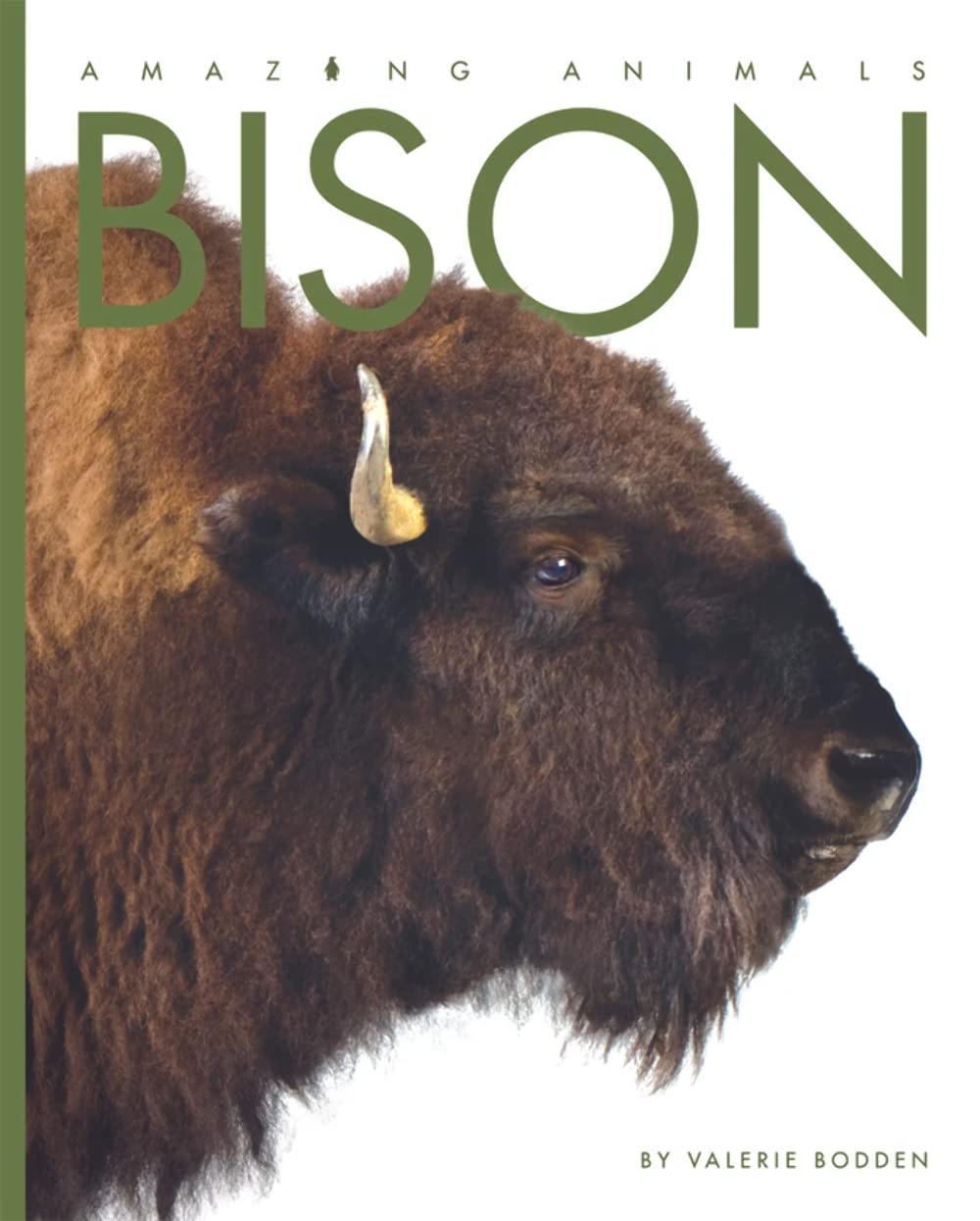 Amazing Animals: Bison: Bodden, Valerie: 9780898127874: Amazon.com: Books