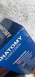 Anatomy Flash Cards: a QuickStudy Reference Tool: Perez, Vincent: 9781423204237: Amazon.com: Books