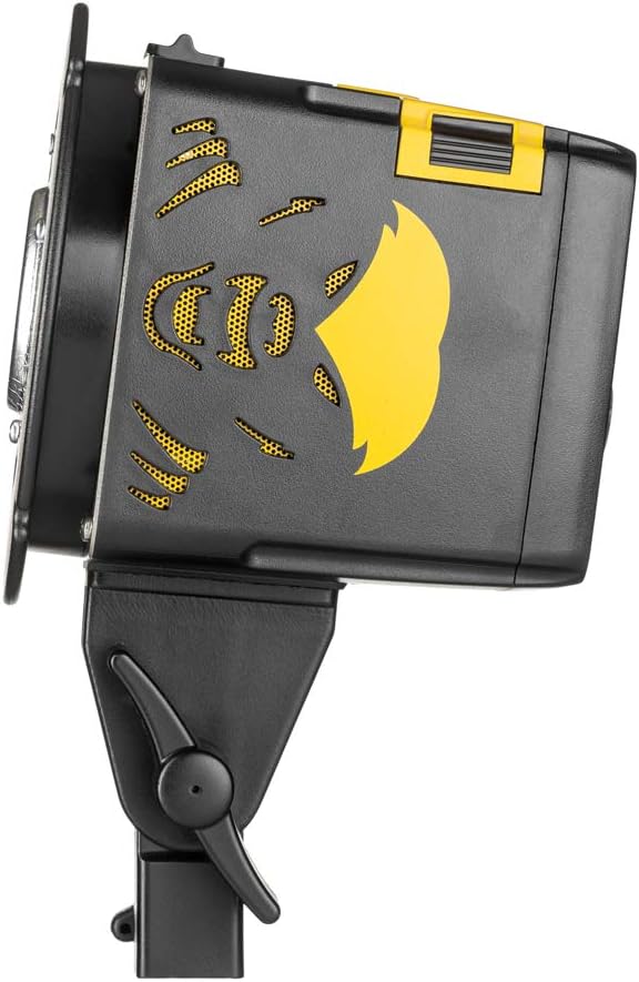 Interfit Badger Beam 60W AC/DC COB LED Light for Photo & Video – BigaMart