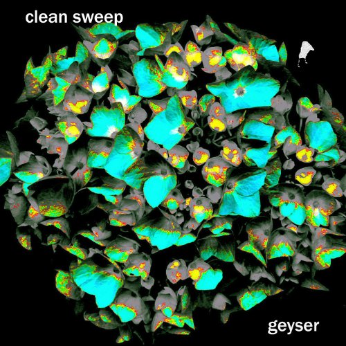 Amazon.com: Clean Sweep : Geyser: Digital Music
