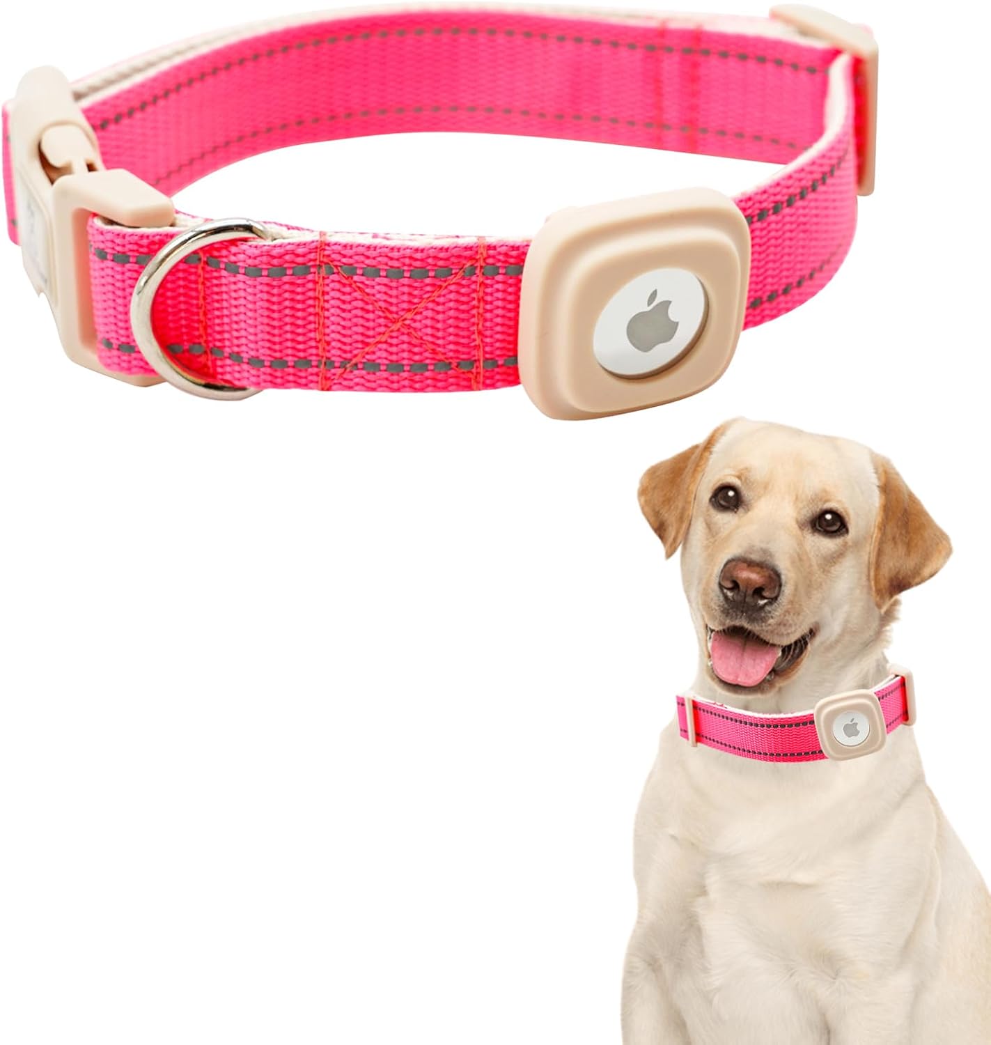 Amazon.com : Lionheart Glory Airtag Reflective Dog Collar - Adjustable ...