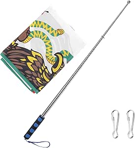 Amazon.com : 8.2ft Telescopic Flag Pole with 3x5 FT Flag ,Stainless ...