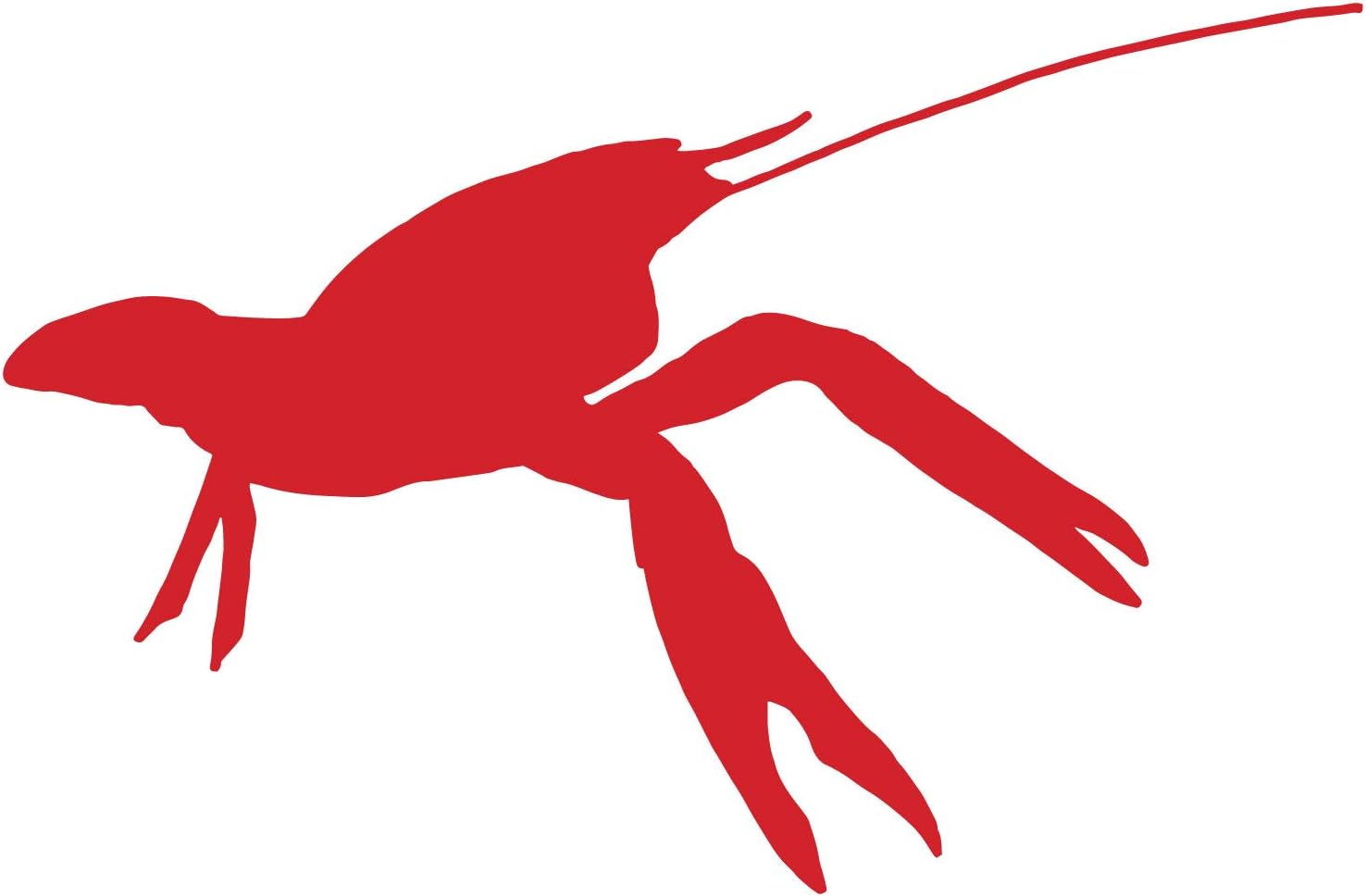 Amazon.com: Crayfish Crawfish Boil Crawdad Vinyl Decal Sticker Car ...