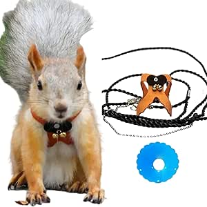 Amazon.com : Barn Eleven Squirrel Traction Rope Strap Anti-Biting Chain ...