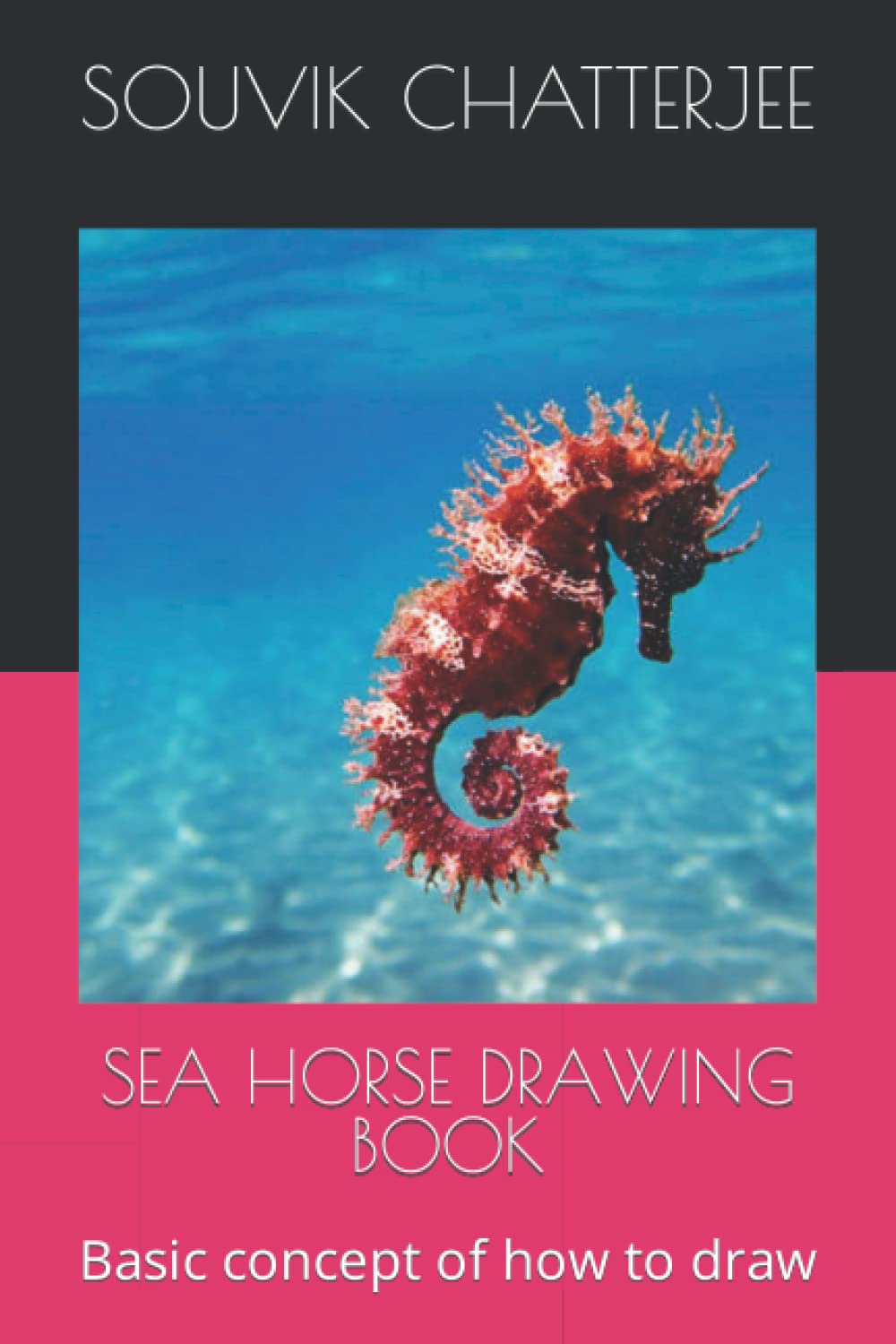 SEA HORSE DRAWING BOOK: CHATTERJEE, Mr SOUVIK: 9798824377965: Amazon ...