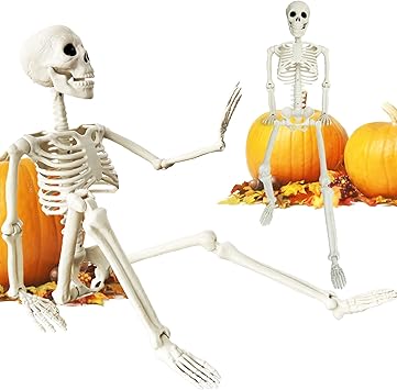 Amazon.com: Eerrhhaq 36" Halloween Full Body Posable Skeleton ...