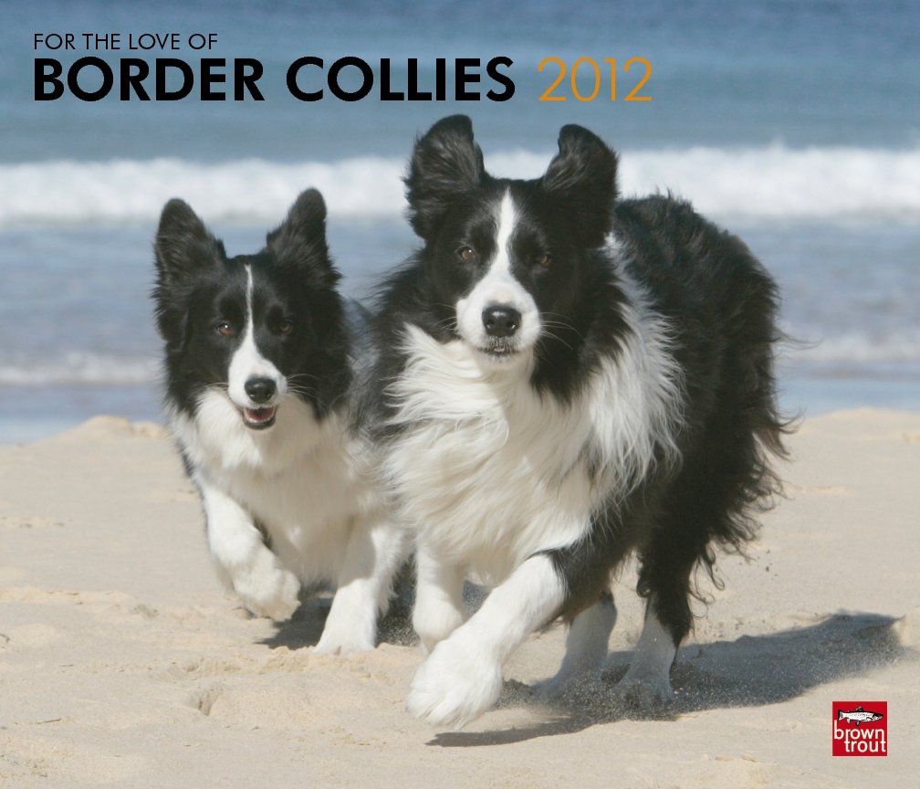 For the Love of Border Collies 2012 Calendar: Browntrout Publishers ...