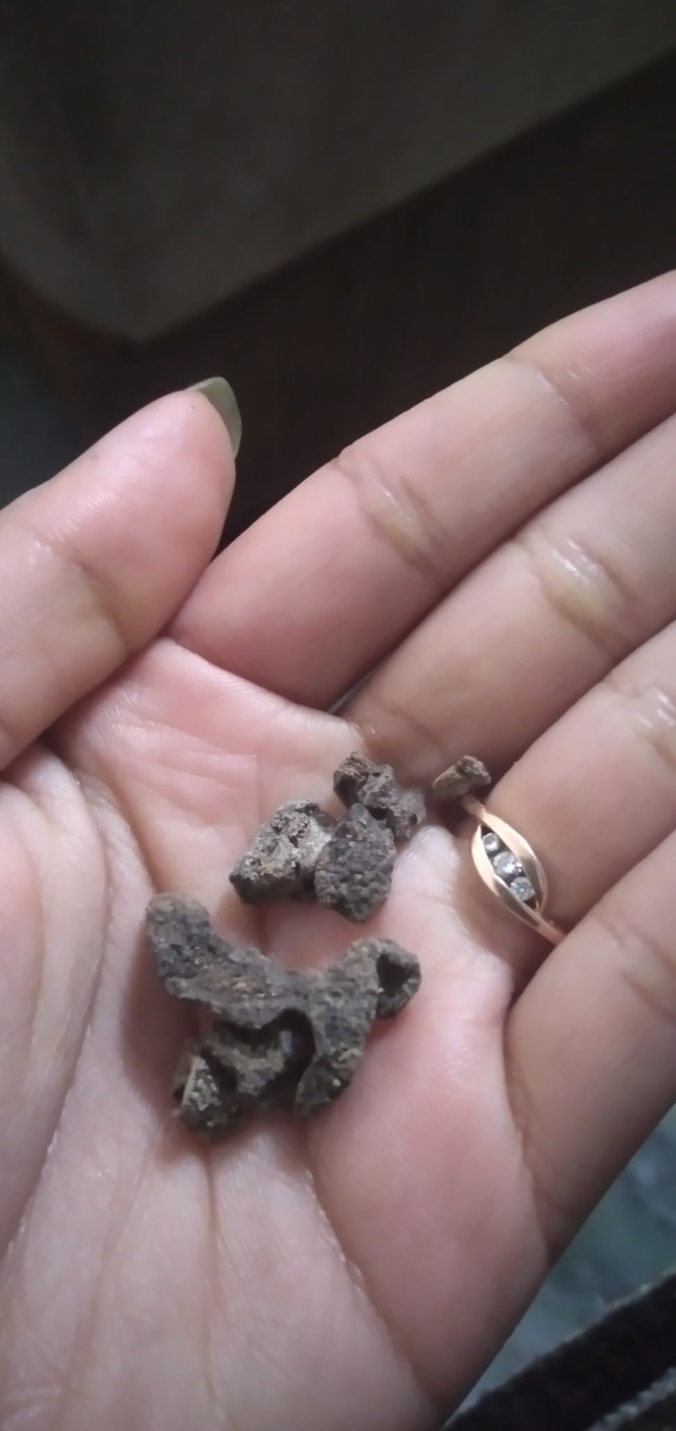 PANCHMUKHI Dried Amla Pachak|Chatpata Awla Pachak|Amla Supari|Sukha ...