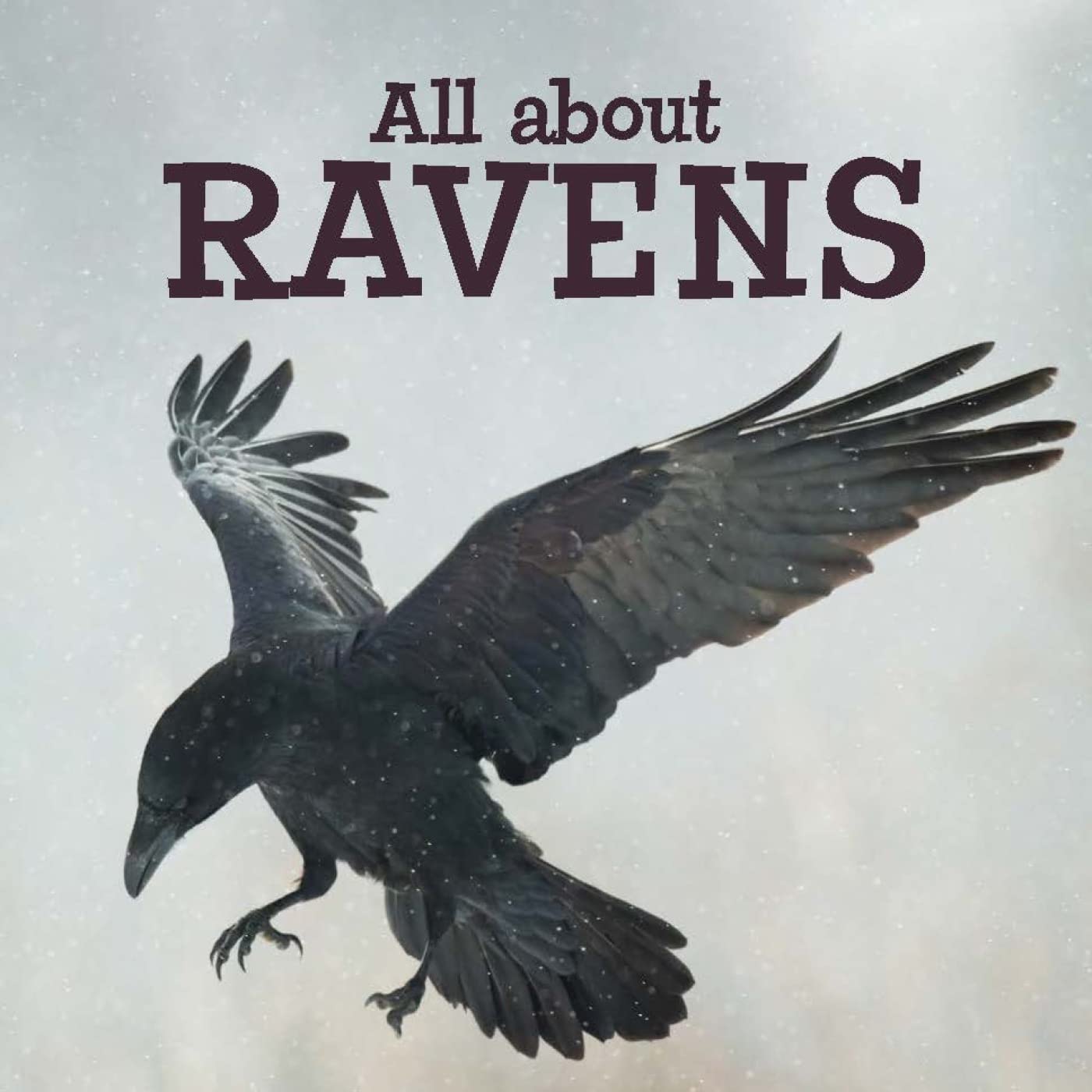 Amazon.com: All about Ravens: English Edition (Nunavummi Reading Series ...