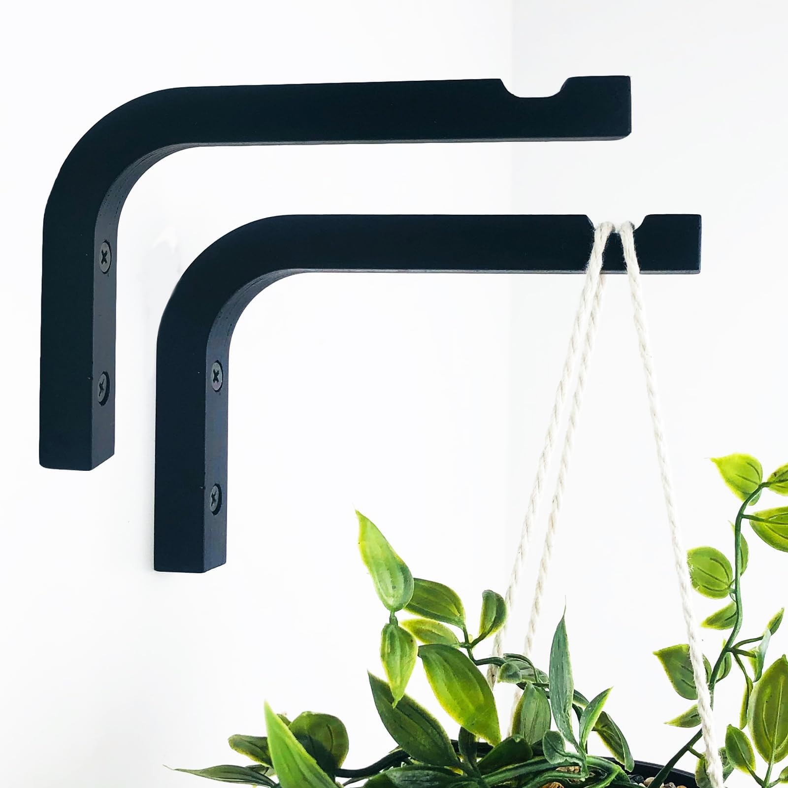 Amazon.com: EvenWood 2-Piece Set of Plant Hooks for Wall - Mounted ...