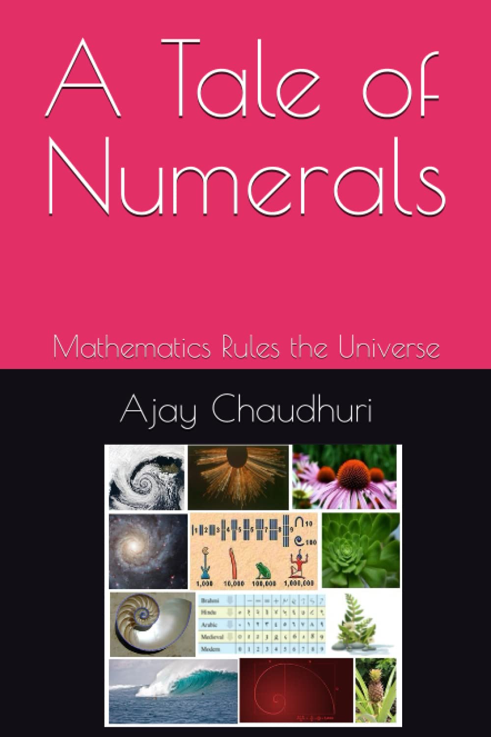 A Tale of Numerals: Mathematics Rules the Universe: Chaudhuri, Ajay ...