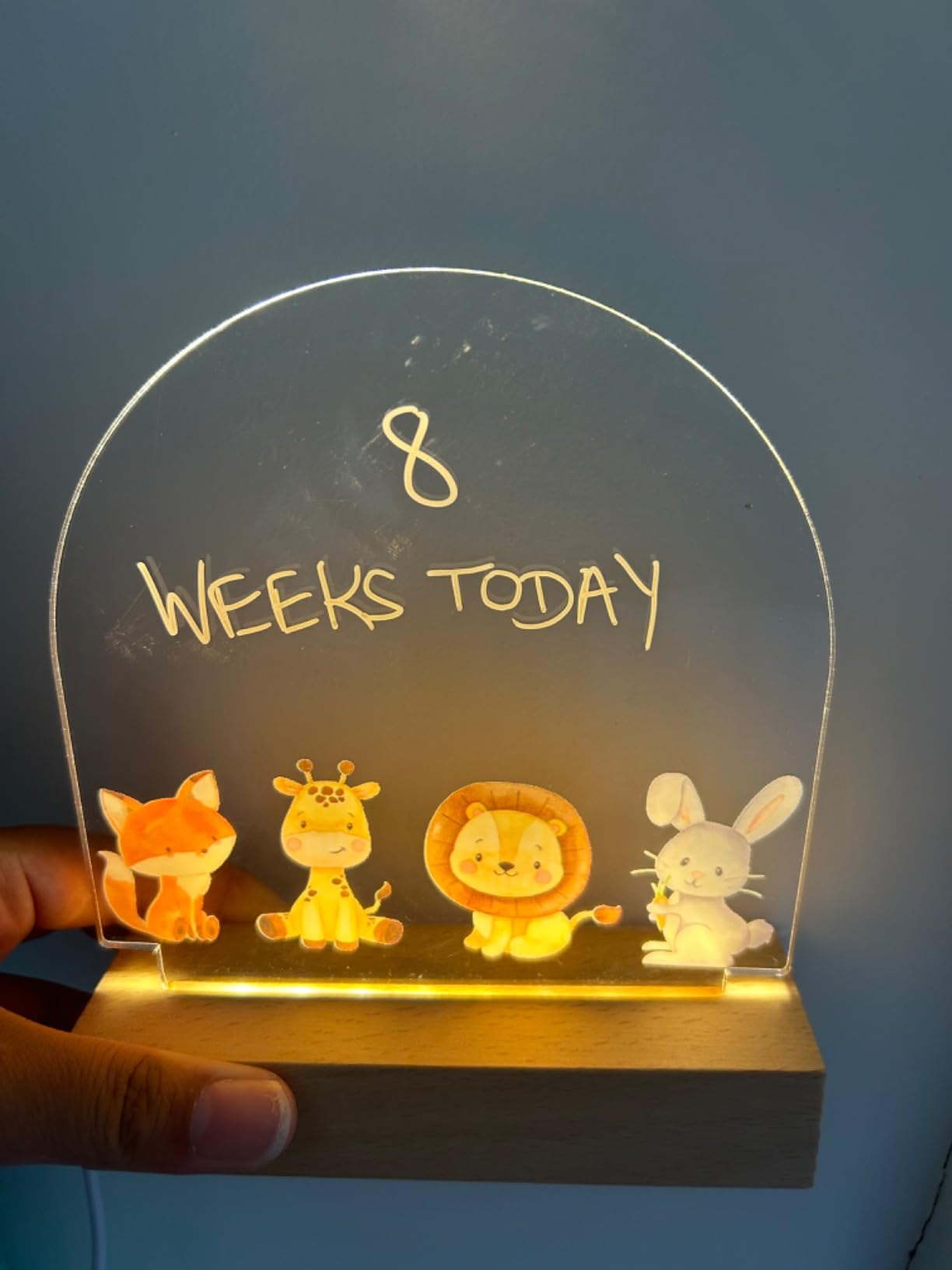 Baby Boy Gifts, Personalised Baby Night Light, LED Cute Animal ...