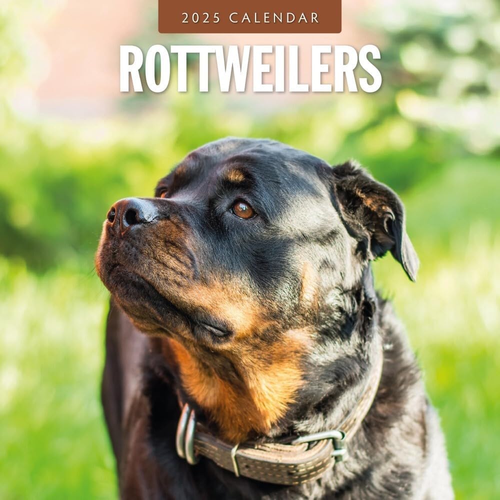 Amazon.com: Red Robin 2025 Rottweilers Monthly Wall Calendar | 12" x 24 ...