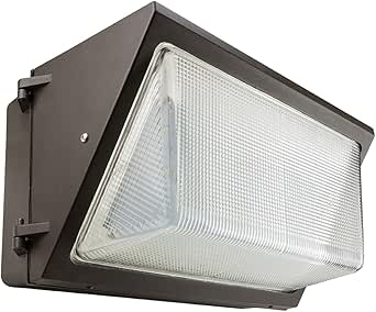 RGL Series Large Cast Refractor LED Wall Pack, 100W Light Engine, 120 ...