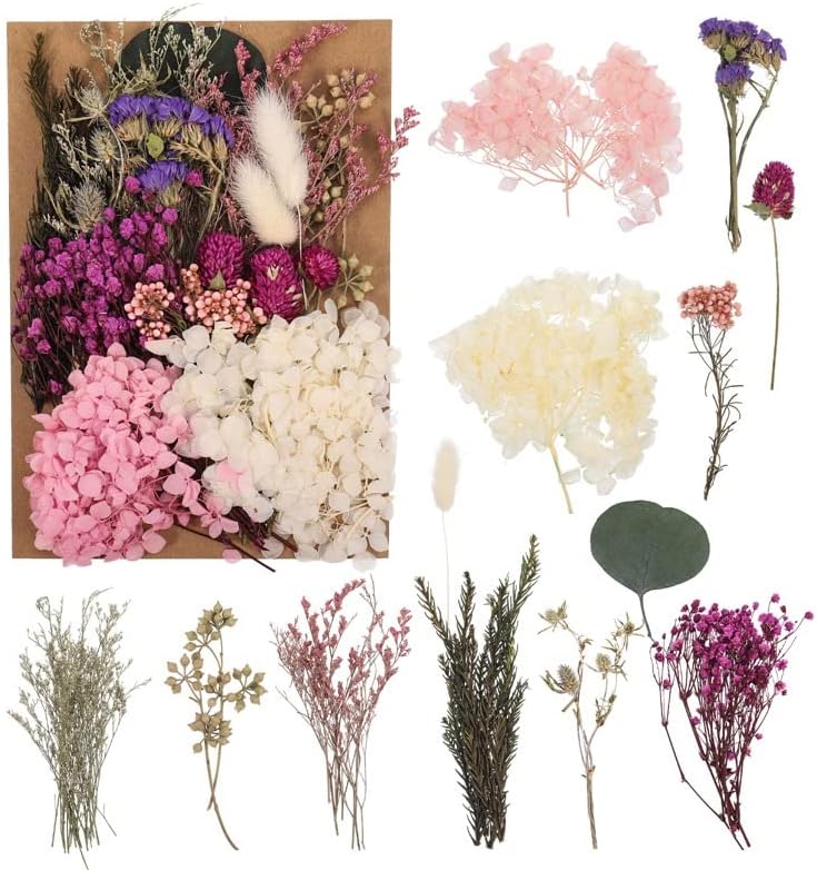 Sacjkt Dried Pressed Flowers, Natural Dried Flower Set, 49 PCS ...