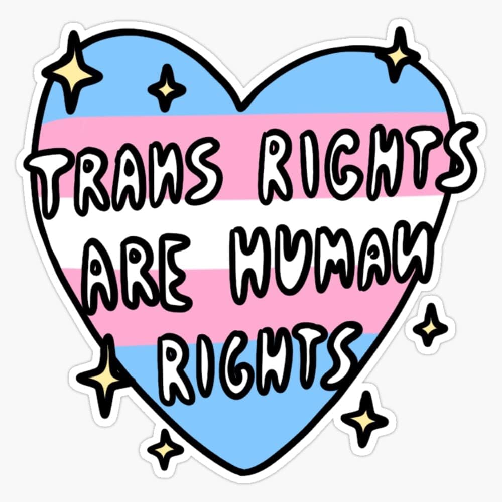 Amazon.com: Trans Rights are Human Rights Bumper Sticker Vinyl Decal 5 ...