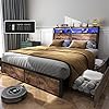 Amazon.com: Fabulis Full Size Bed Frame with 4 Storage Drawers and ...