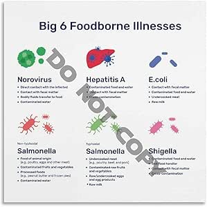 Amazon.com: Big 6 Foodborne Illnesses Poster Health Poster Wall Art ...