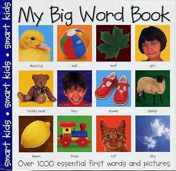 My Big Word Book (My Big Board Books): Priddy, Roger: 9780312490751 ...
