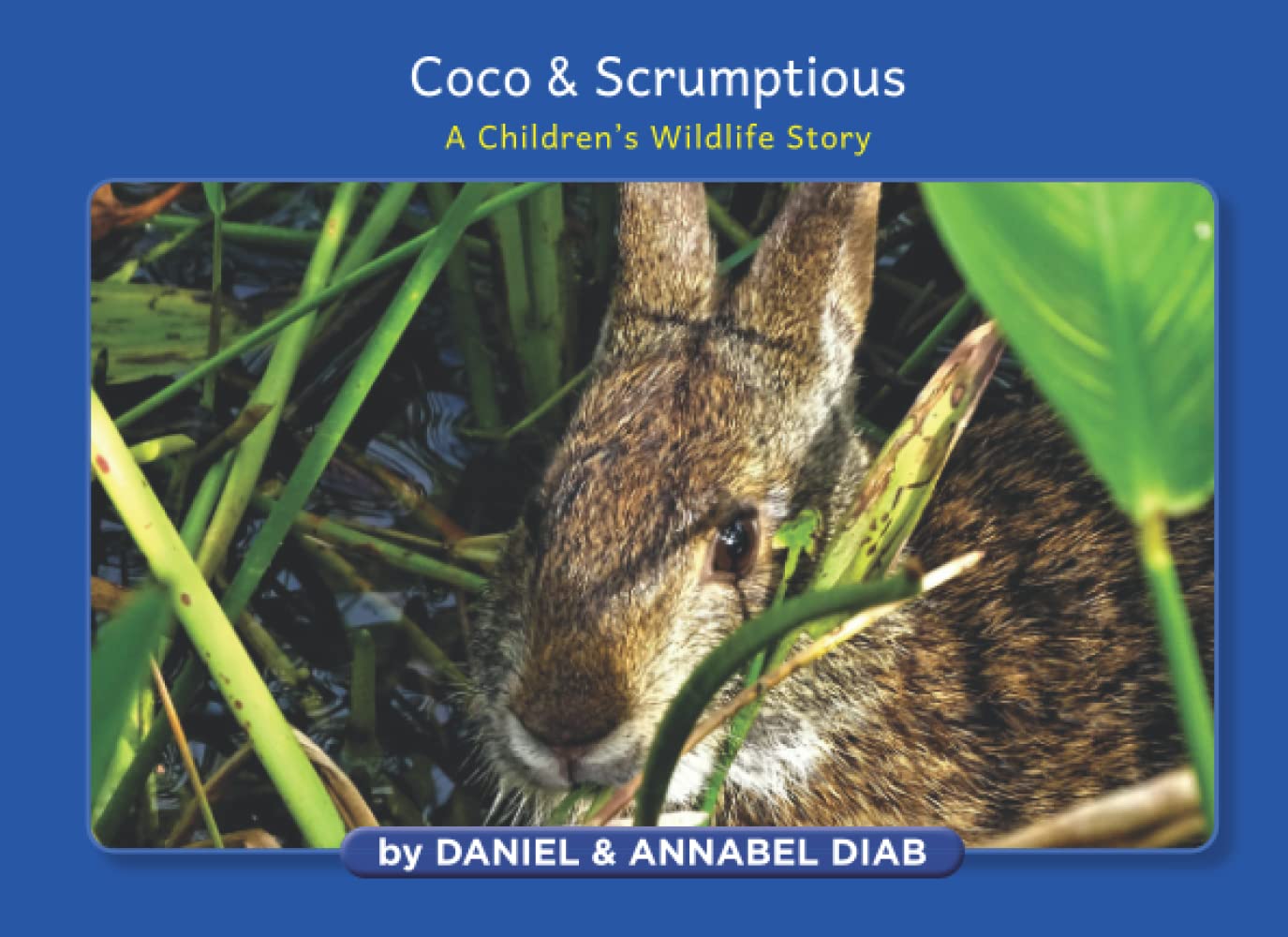 Coco & Scrumptious: A Children' s Wildlife Story: Diab, Daniel ...