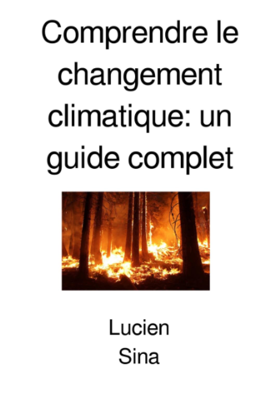 Comprendre le changement climatique: un guide complet : Sina, Lucien: Amazon.de: Bücher