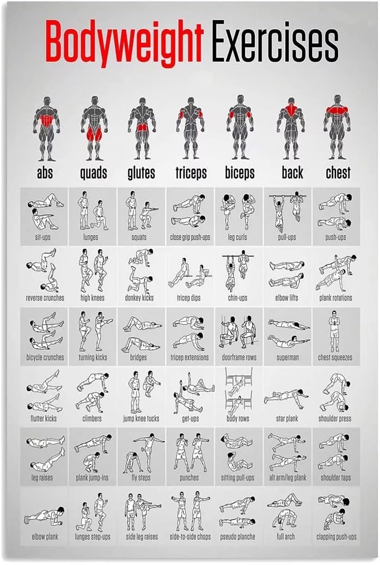 Amazon.com: Bodyweight Exercises Infographic Metal Sign Fitness ...