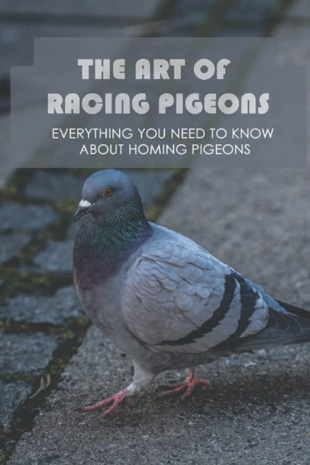 Buy The Art Of Racing Pigeons: Everything You Need To Know About Homing ...