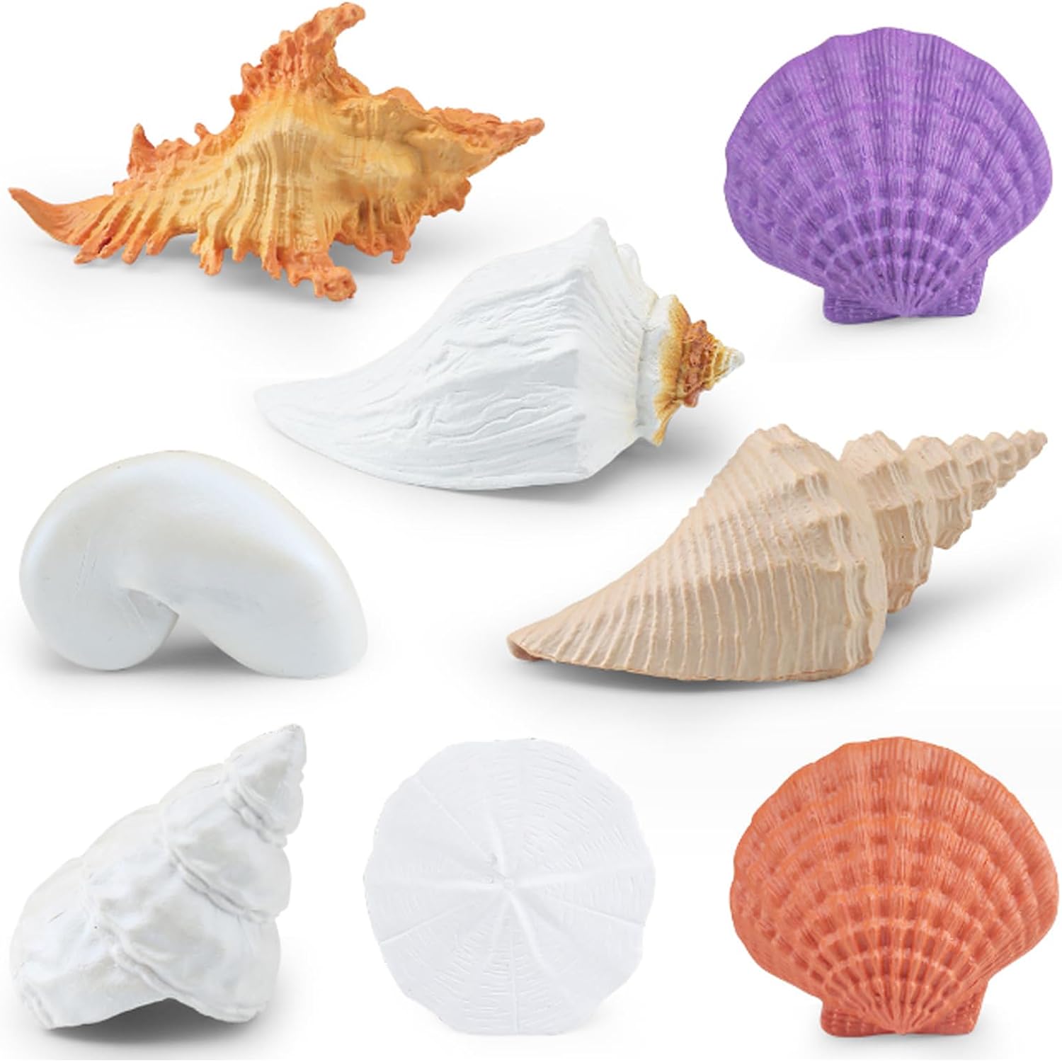 Amazon.com: BRETOYIN 8PCS Mini Shell Moddle Seashells for Kids Sea ...