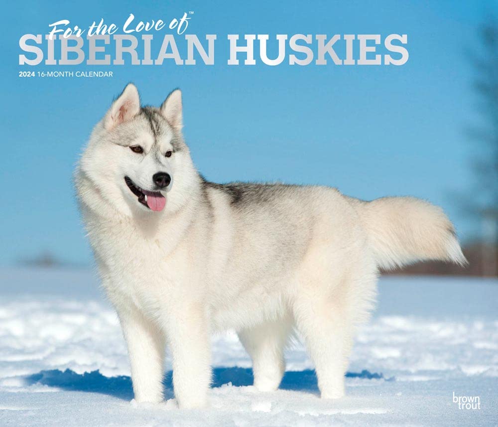 For the Love of Siberian Huskies | 2024 14 x 24 Inch Monthly Deluxe ...