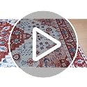 Vamcheer Vintage Washable Rugs for Living Room - Classic Soft Faux ...