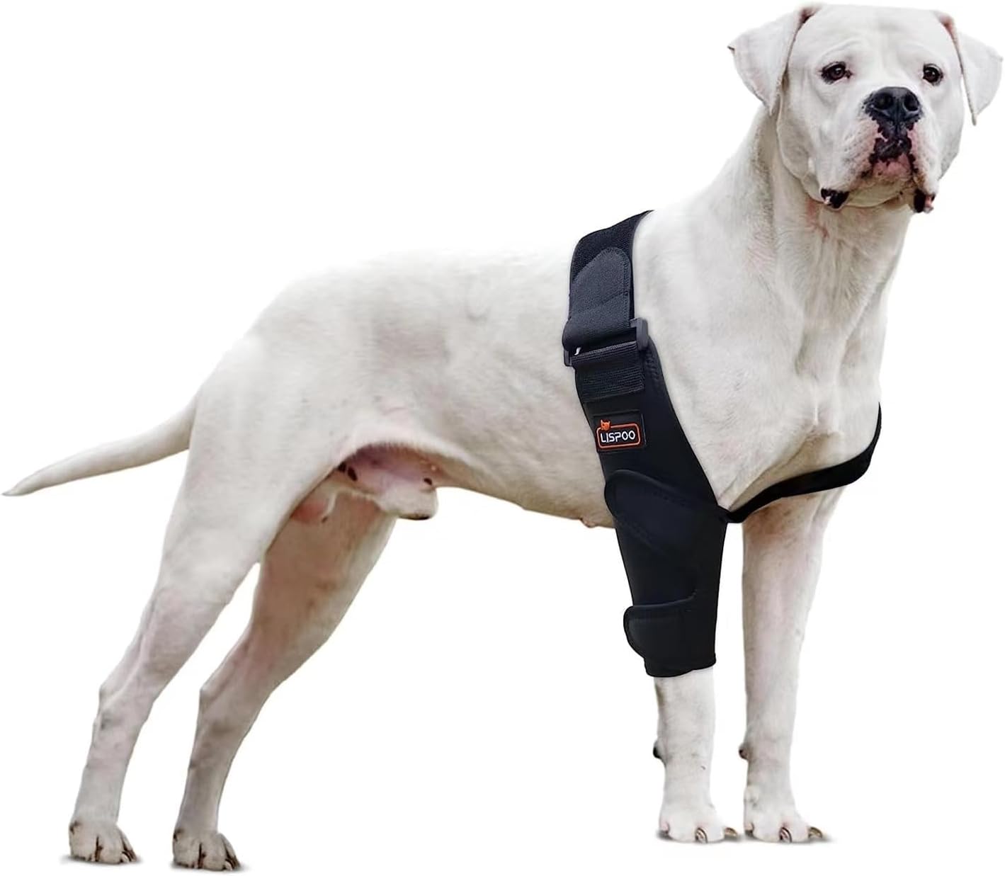 LISPOO Dog Elbow Dysplasia Support Brace Protector Pads Support for ...