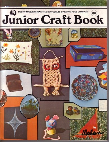 Junior Craft Book: Amazon.co.uk: 9780893875213: Books