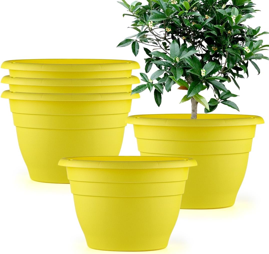 Amazon.com: Mintra Home Garden Pots 4pk - Flowers, Herbs, Plants ...