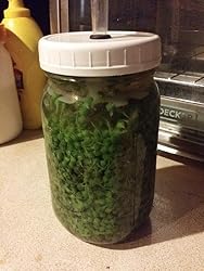 Amazon.com: ViscoDisc Canning Buddies- Wide Mouth Mason Jar Inserts ...