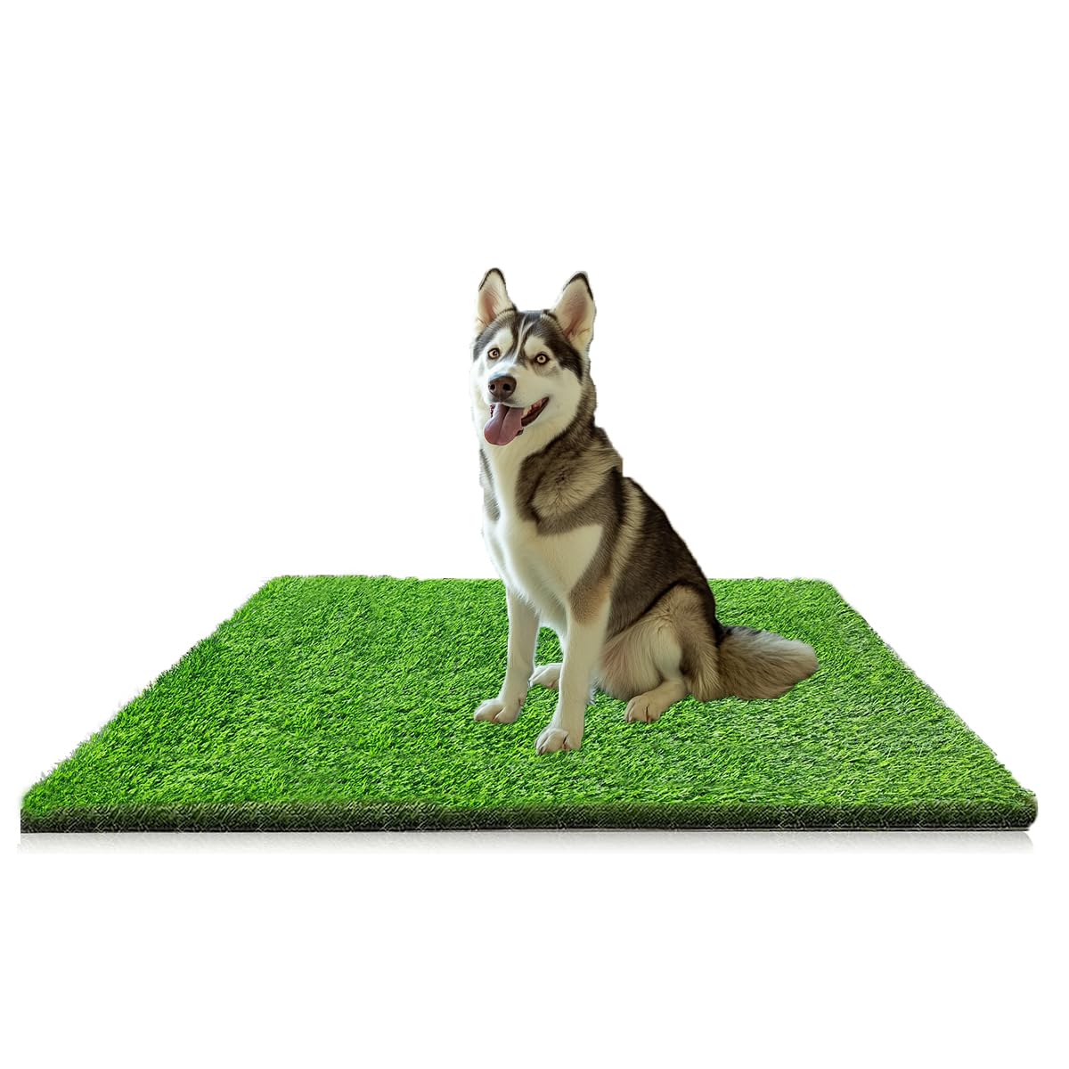 Amazon.com: Artificial Turf Grass for Dog,39.3" x 47.2" Fake Grass ...