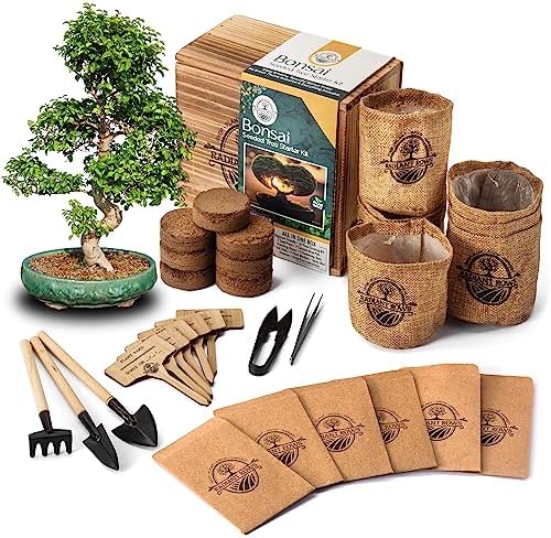 Amazon.com : REALPETALED Bonsai Starter Kit – Japanese Bonsai Tree Kit ...