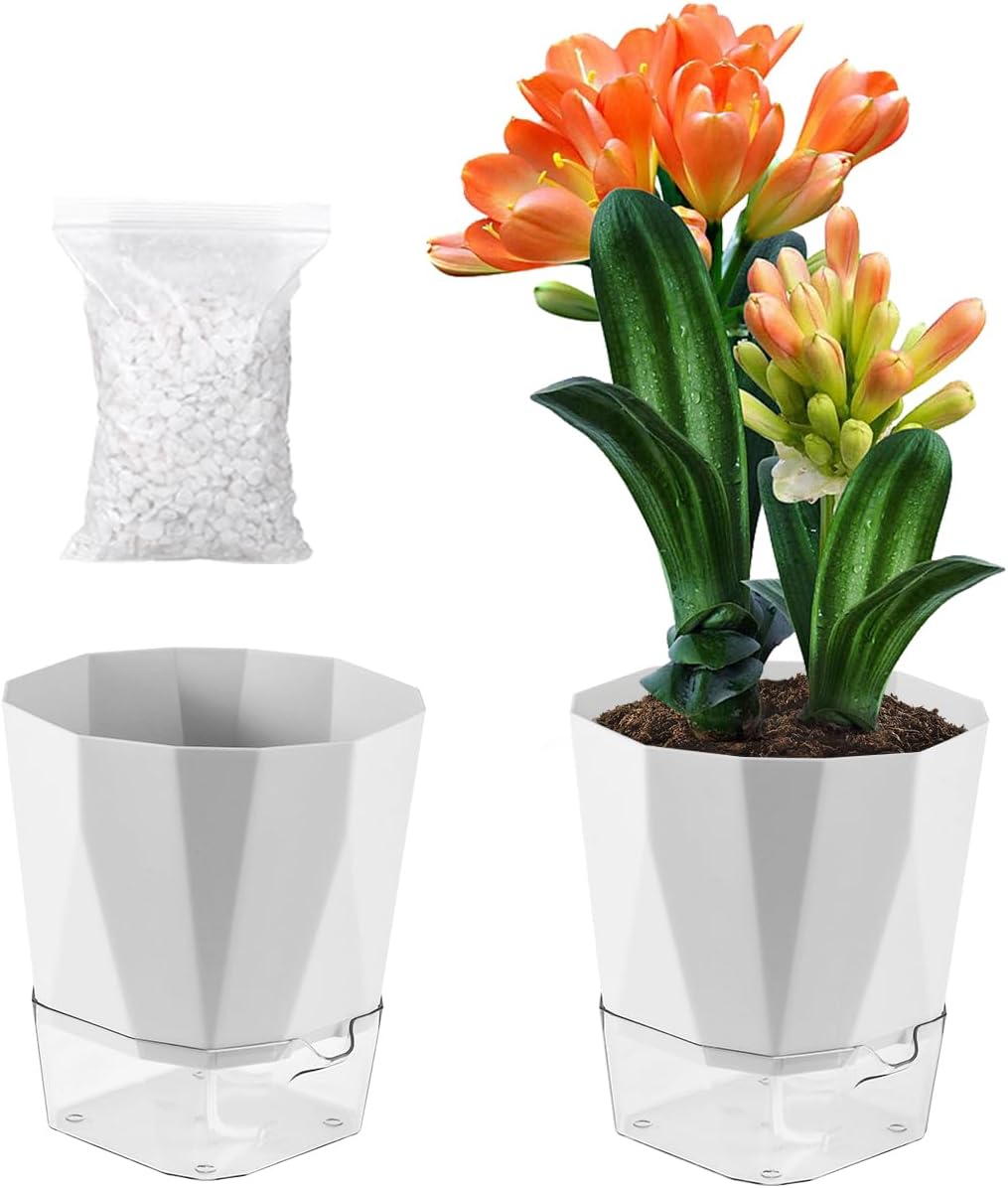 2 Pack Self Watering Plant Pots 8.4 in Self Watering Planters for ...