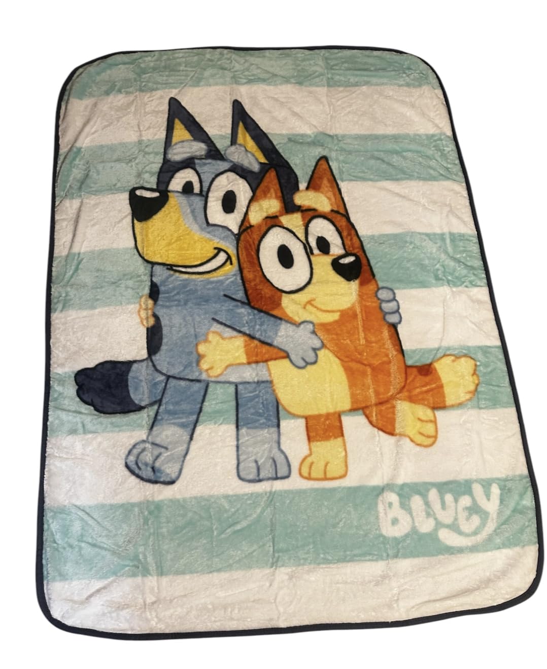 Amazon.com: Bluey and Bingo Twin Plush Blanket 60"x80" Super Soft Hugs ...