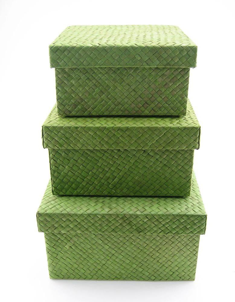 Amazon.com: Neatnix 3-Piece Square Pandan Set with Lids, Green : Home ...