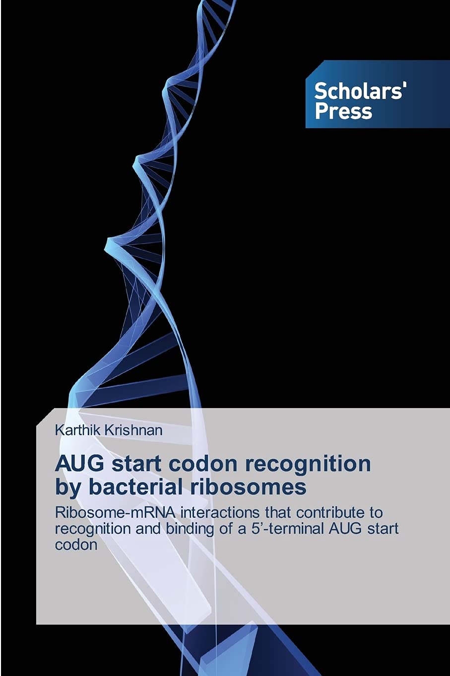Aug Start Codon Recognition By Bacterial Ribosomes Ribosome Mrna ...