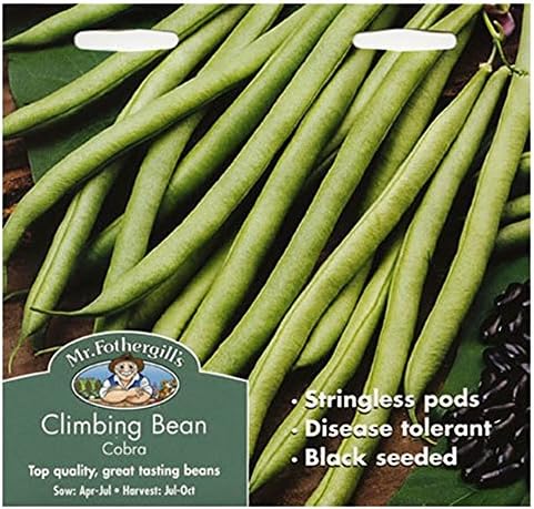 Mr Fothergill's Vegetable Seeds, Climbing French Bean Python, Green, 0.3 x 15 x 14.5 cm : Amazon ...